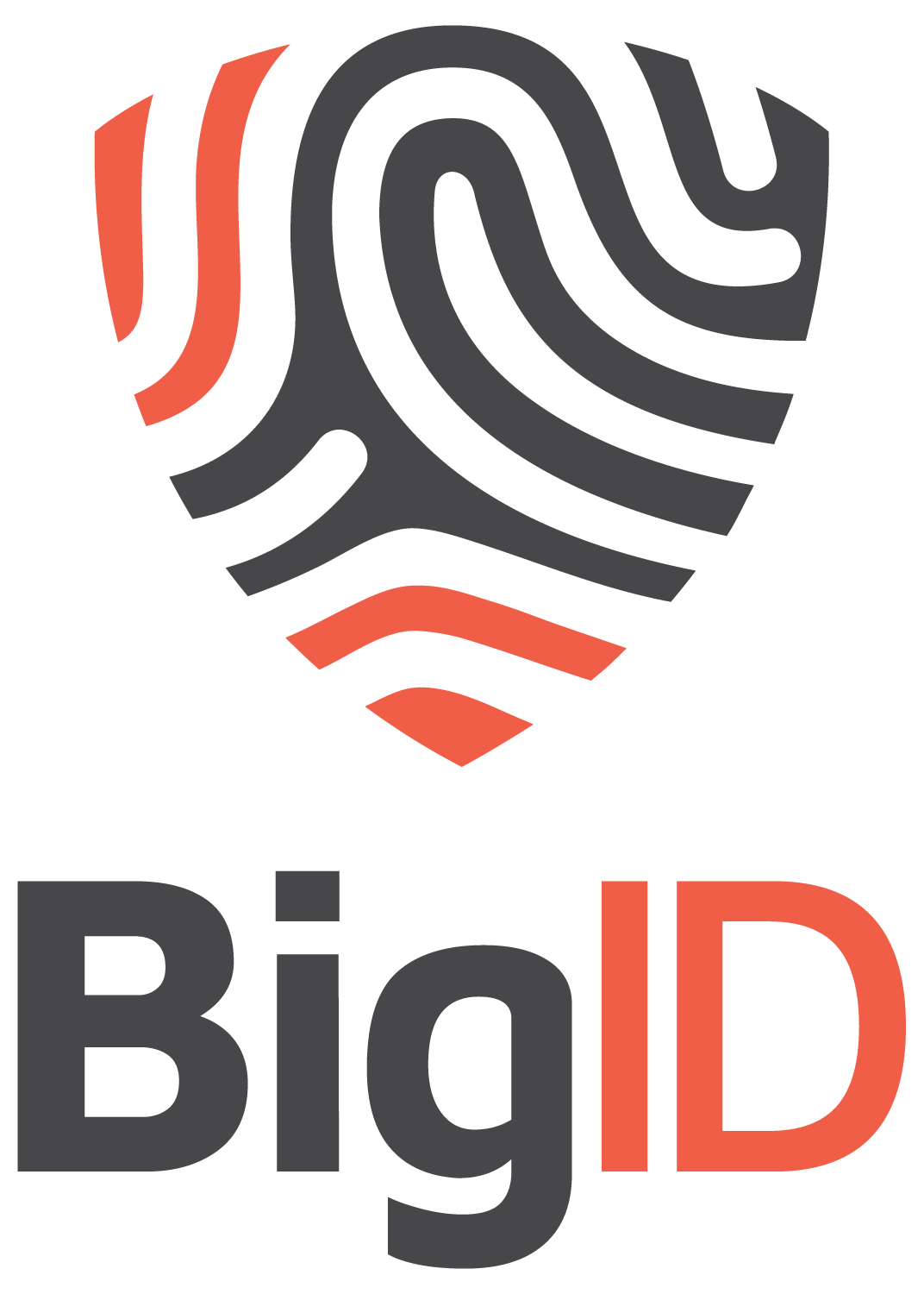 Anira Solutions | BigID
